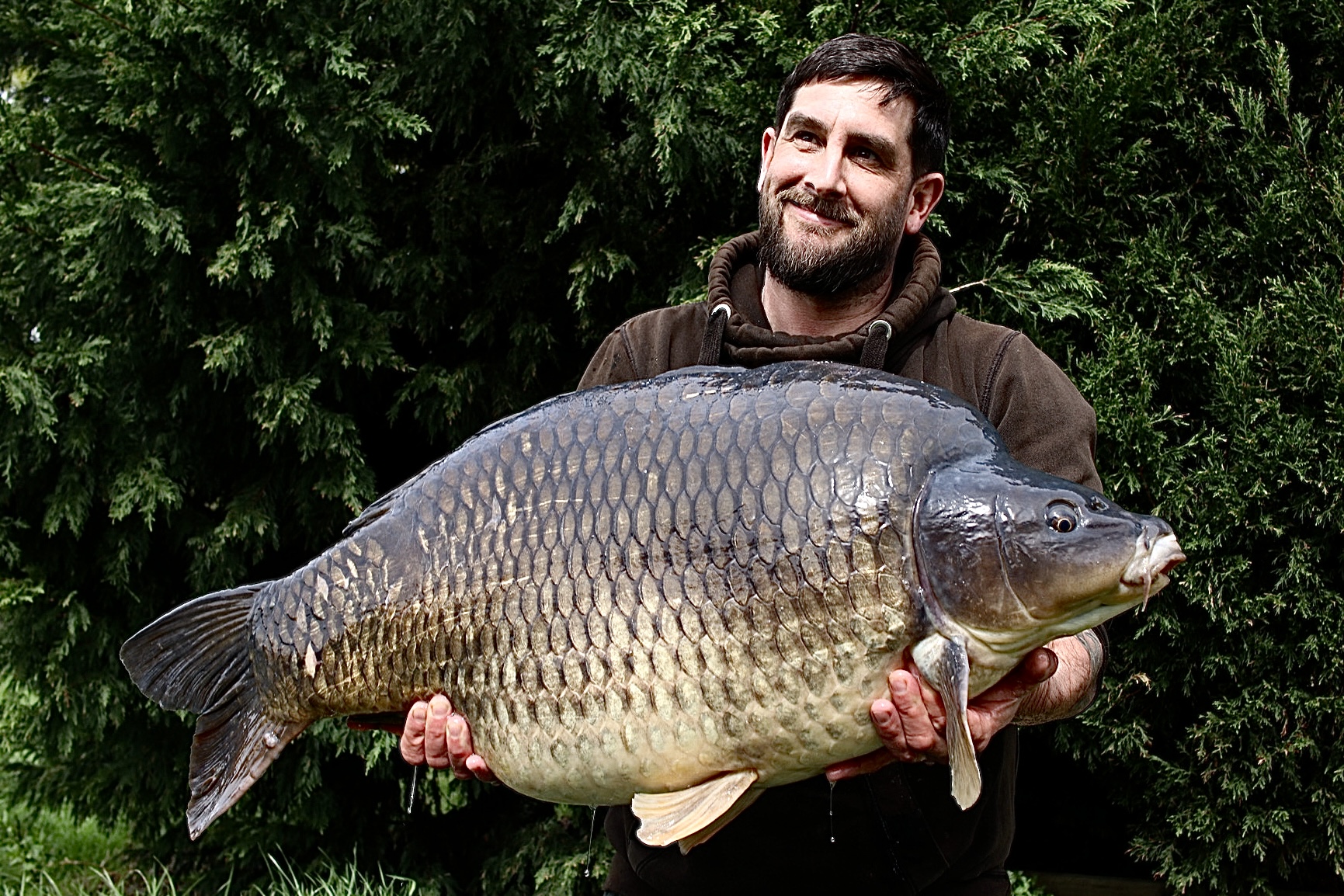 Houdini | Total Carp